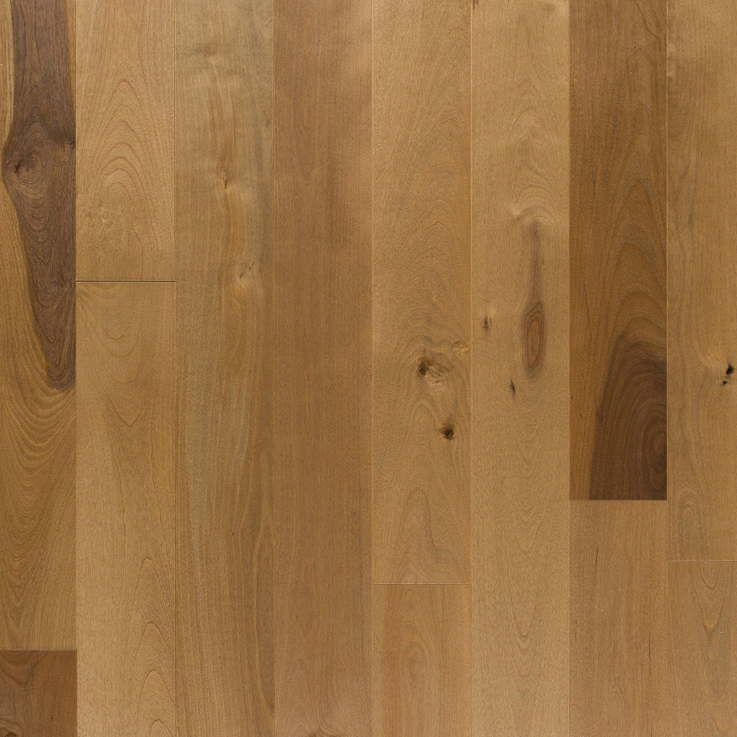 Birch Wood Flooring | Floor & Decor